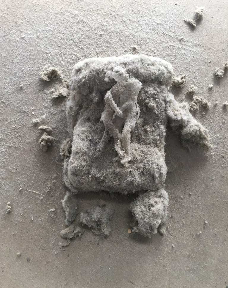 Dust Breeding – PAUL HAZELTON